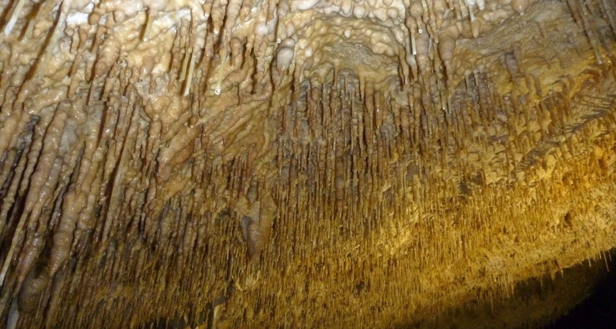 » Open PostDoc position at Uni of Silesia: Enhancing Paleoseismological ...